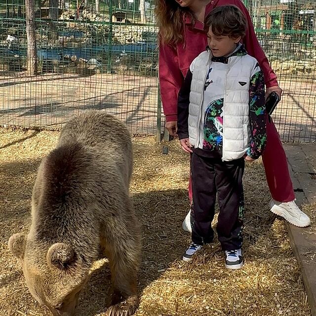 Bilet gişesi Park Of İstanbul Hayvanat Bahçesi ve Pony Clup Bilet Gişesi, İstanbul, foto