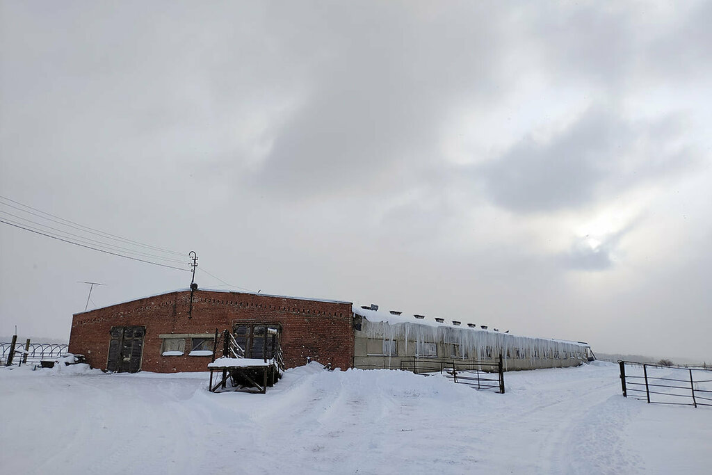 Tarımsal altyapı Коровник, Moskova ve Moskovskaya oblastı, foto