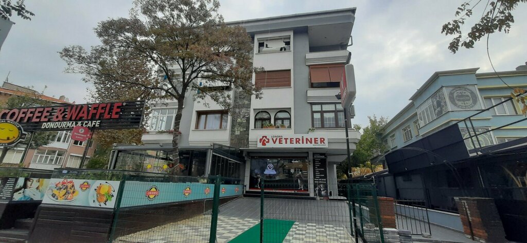 Pasta, şekerleme ve tatlı Real Waffle, İstanbul, foto