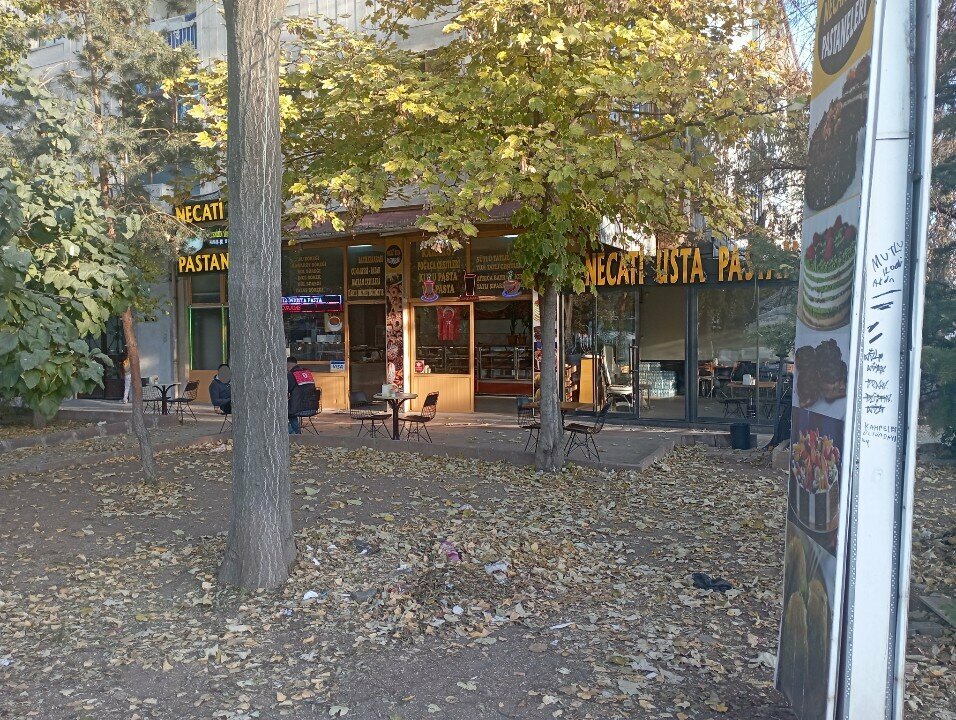 Pasta, şekerleme ve tatlı Necati Usta Pastaneleri, Ankara, foto