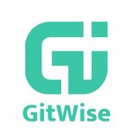 GitWise (Gostinichnaya Street No:1), bilişim firmaları  Moskova'dan