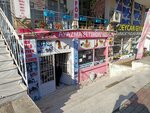 Ayazma Pet Shop (İstanbul, Avcılar, Cihangir Mah., Üzengi Sok., 27A), petshop  İstanbul'dan