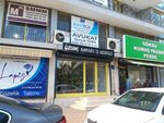 Aeropest (Gazi Mah., 16. Sok., No:1A, Gaziemir, İzmir), haşere ilaçlama firmaları  İzmir'den