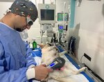 Hayat Veteriner Kliniği (Manisa, Yunusemre, Güzelyurt Mah., 5701. Sok., 10), veteriner klinikleri  Manisa'dan