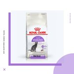 Petidi.com (Muğla, Köyceğiz, Gelişim Mah., Kahramanlar Sok., 12), petshop  Köyceğiz'den