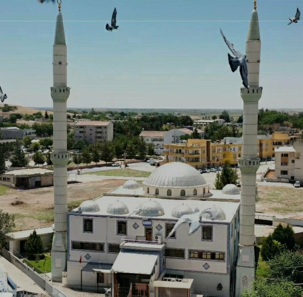 Cami Yeni Harran Cami, Harran, foto