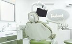 Özel Nazilli Ağız ve Diş Sağlığı Polikliniği (Altıntaş Mh., 336. Sk., No: 53, Nazilli, Aydın), özel ağız ve diş sağlığı klinikleri ve muayenehaneleri  Nazilli'den