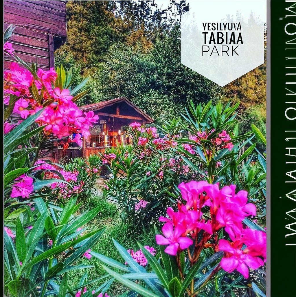 Kamp alanları Abana Yeşilyuva Tabiat Parkı, Abana, foto