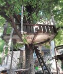 Kaval Restaurant (Muğla, Fethiye, Bozyer Mah., Karamersin Sok., 80/2), restoran  Fethiye'den