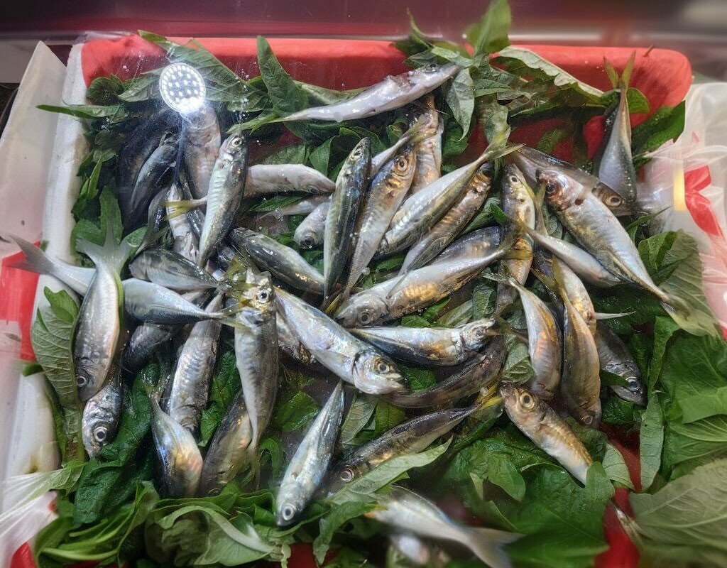 Balık ve deniz ürünleri Ertu Balıkçılık, Alaplı, foto