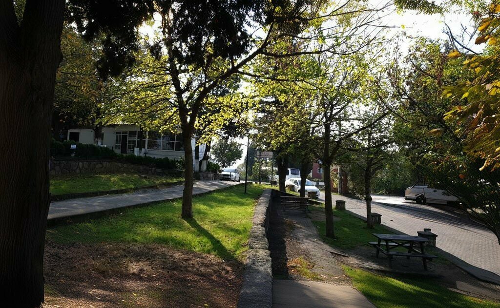 Kültür ve eğlence parkları Gözlementepe Mesire Alanı, Gölcük, foto