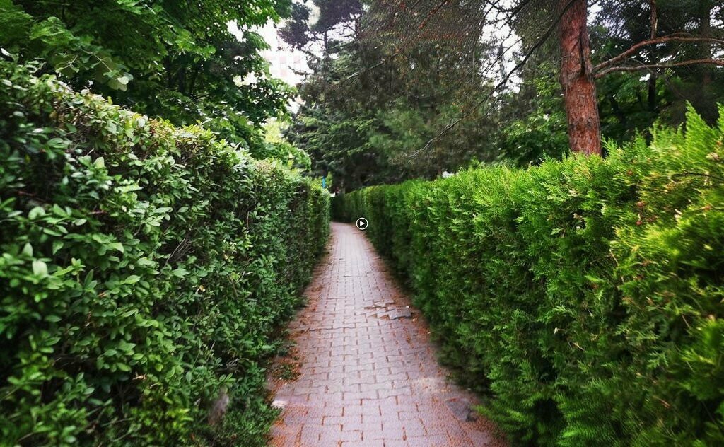 Kültür ve eğlence parkları Şehit Polis Memuru Yaşar Şimşek Parkı, Talas, foto