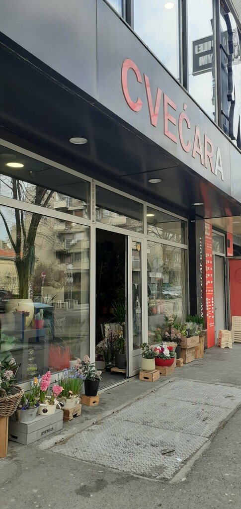 Çiçek teslimatı Kurs cvecara, Belgrad, foto