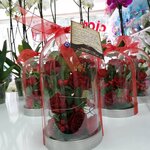 Flora (Yalı Mah., Kahramanmaraş Cad., No:224, Ortahisar, Trabzon), çiçekçiler  Ortahisar'dan