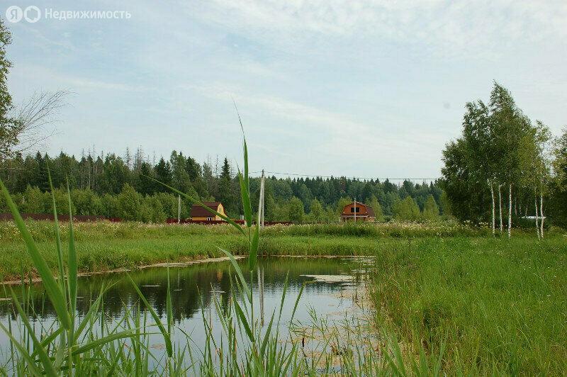 Yazlık yerleşim Лесная застава, Moskova ve Moskovskaya oblastı, foto