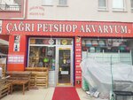 Çağrı Pet Shop Akvaryum (Ankara, Sincan, Peçenek Cad., 50), petshop  Ankara'dan