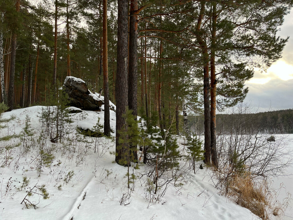 Dağ zirvesi Скала, Rej, foto