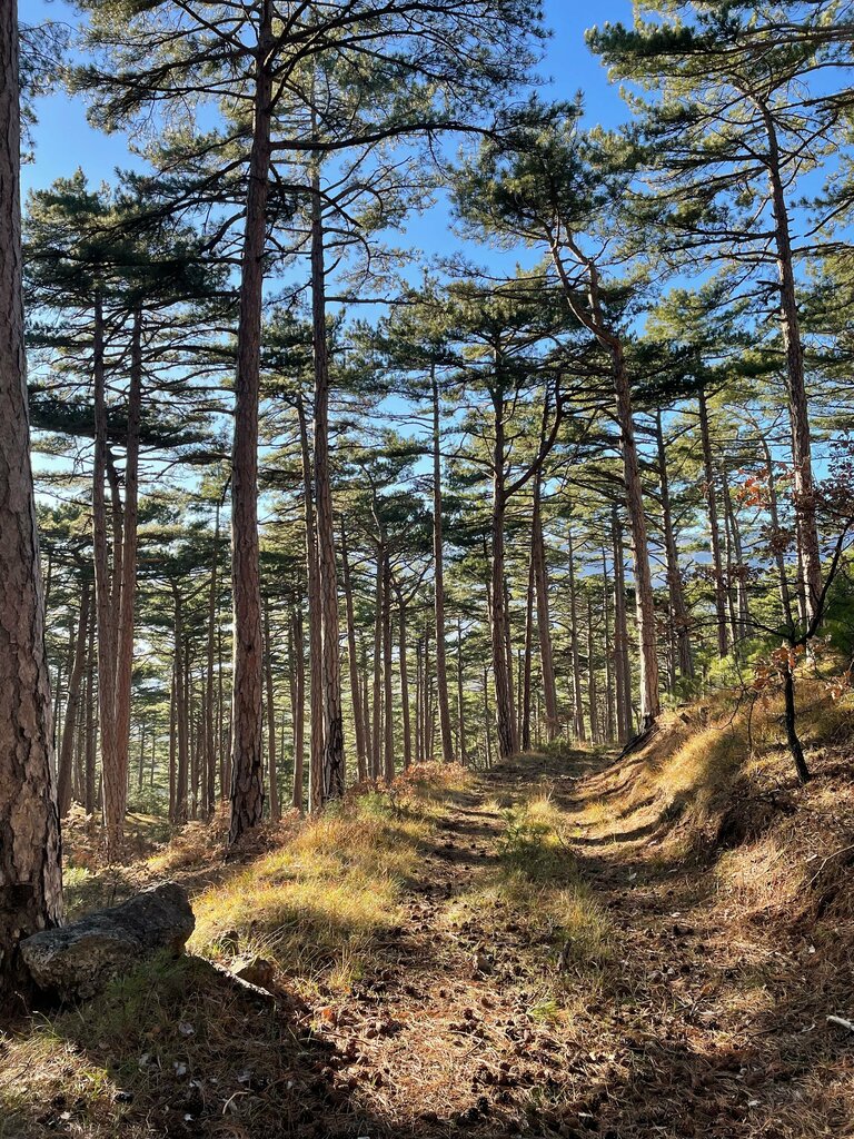 Dağ zirvesi Скала Браво, Kırım Cumhuriyeti, foto