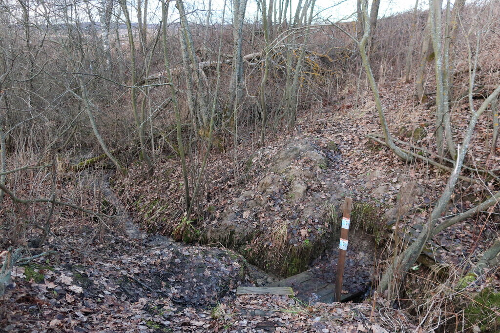 Pınar, çay Spring, stream, Moskova ve Moskovskaya oblastı, foto