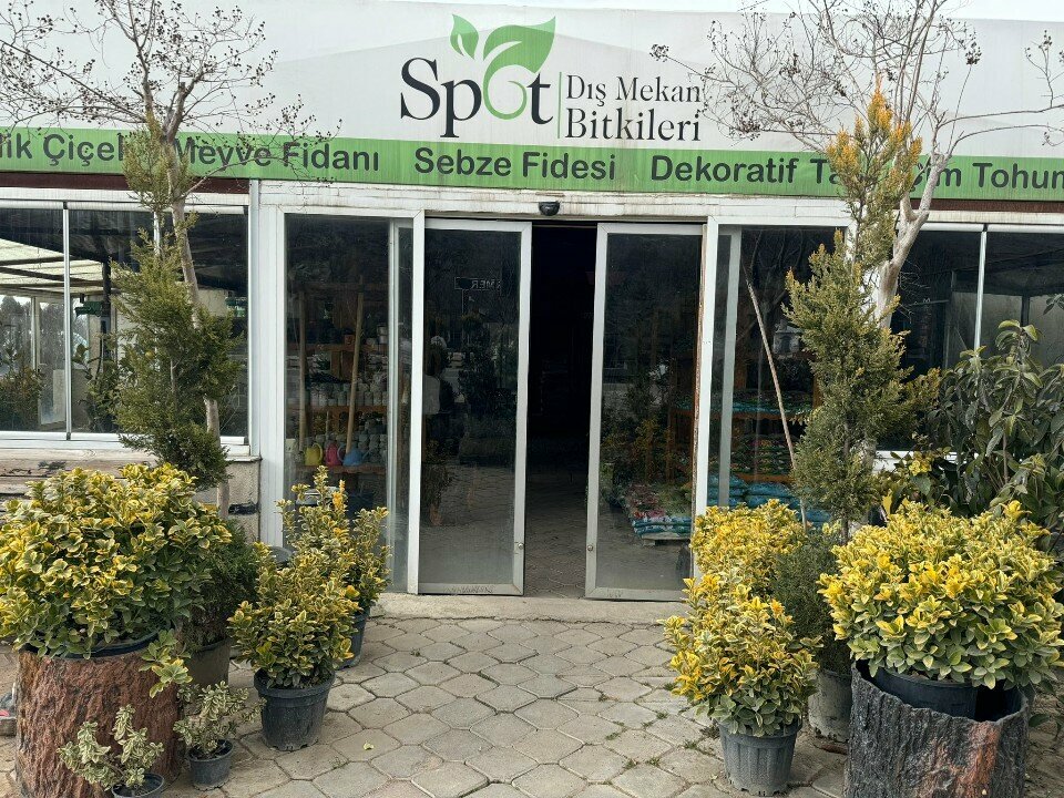 Fidan yetiştiriciliği Spot Dış Mekan Bitkileri, Ankara, foto