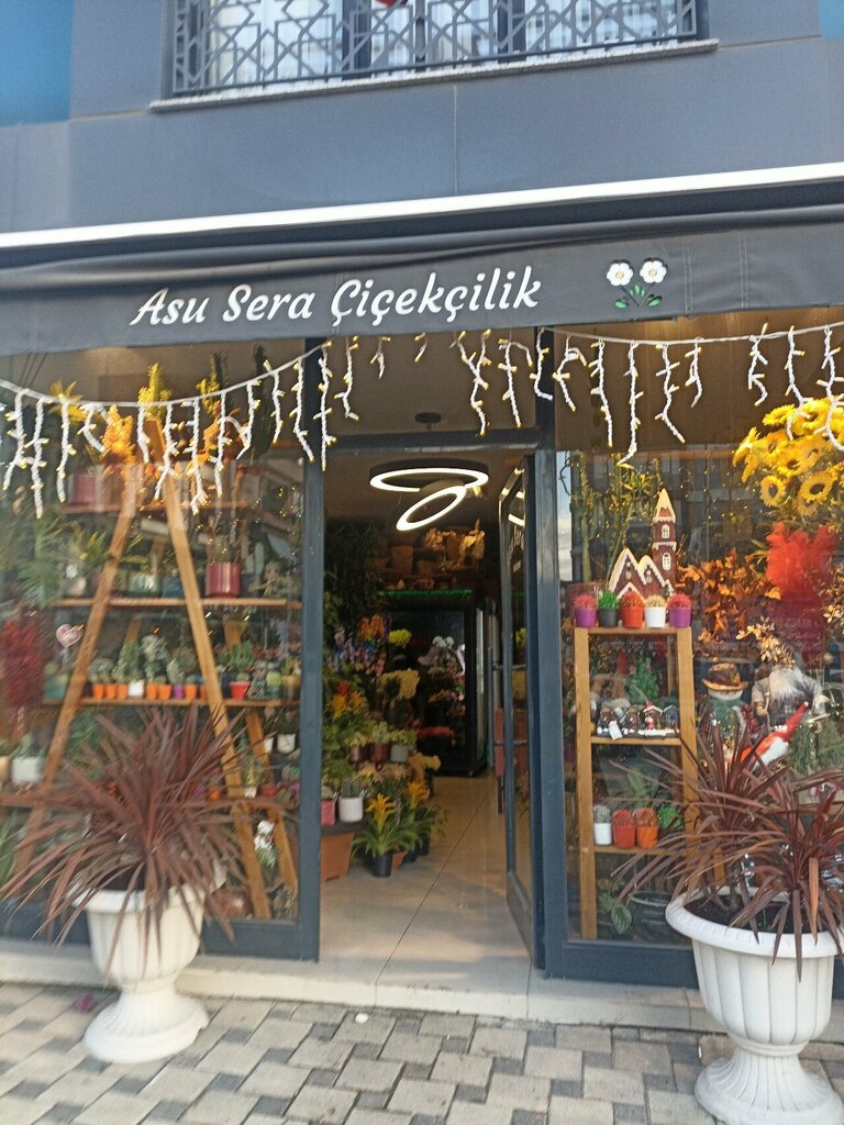 Çiçekçiler Asu Sera Çiçekçilik, İstanbul, foto