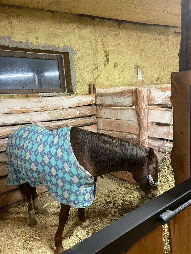 At ve binicilik kulüpleri Конный клуб Gora Country Club, Moskova ve Moskovskaya oblastı, foto