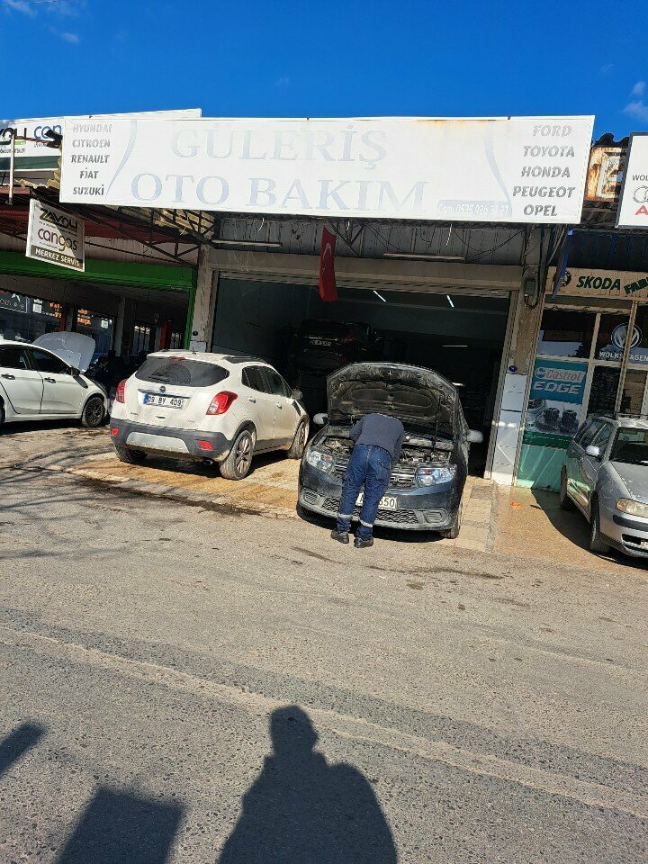 Otomobil servisi Güleriş Oto Bakım, İzmir, foto