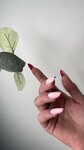 Margarita Ulanskaya Manicure and Pedicure Studio (ulitsa Vladimira Lenina No:153), güzellik salonu  Biysk'ten