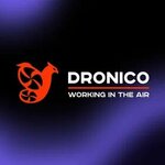 Dronico (Fridrikha Engelsa Street No:75с10), pazar araştırma firmaları  Moskova'dan