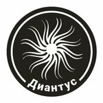 Диантус (ulitsa Novaya Sloboda No:9), çiçek teslimatı  İvanteyevka'dan