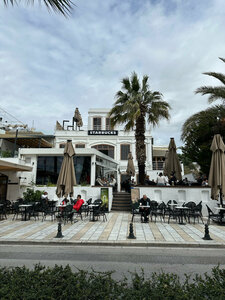 Marina Yacht Club (Muğla, Bodrum, Neyzen Tevfik Cad., 5C), bar  Bodrum'dan