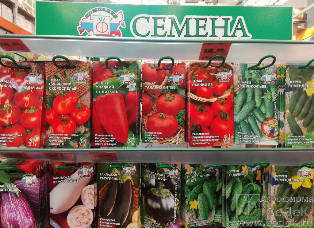 Toptancılar Седек, Moskova, foto