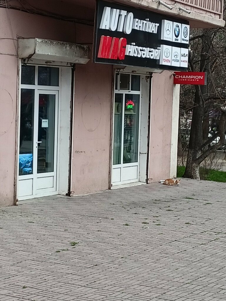 Otomobil yedek parçaları AutoMag, Bakü, foto