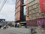 УК Мкапитал (Karla Marksa Square No:3), yönetim ofisi  Novosibirsk'ten