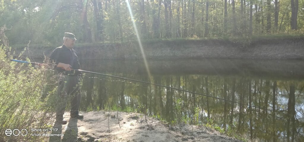 Plaj Пляж, Tambovskaya oblastı, foto