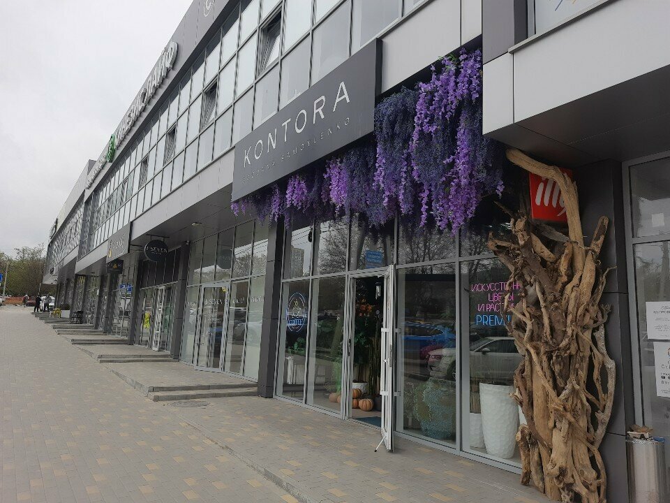 Yapay bitki ve çiçek Контора Богданы Самойленко, Novorossiysk, foto