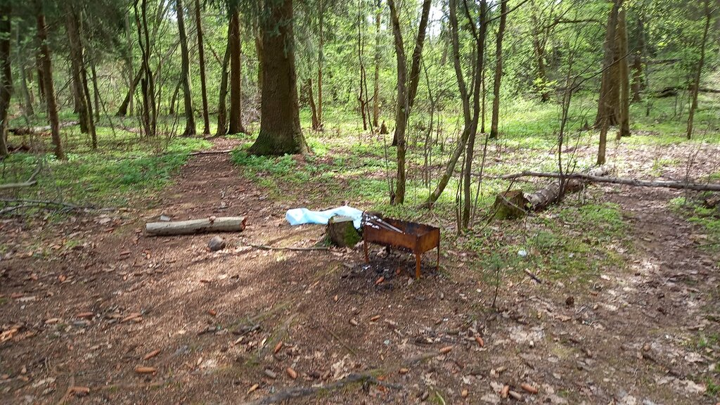 Piknik alanı Место для пикника, Moskova ve Moskovskaya oblastı, foto
