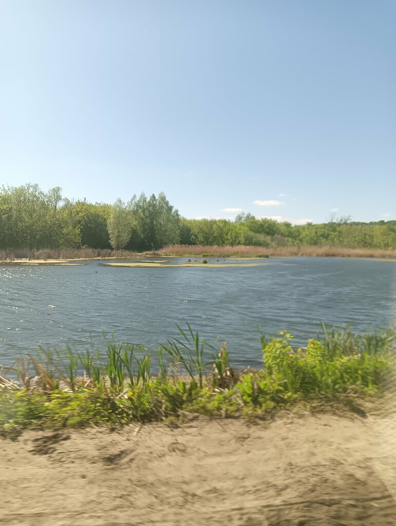 Pınar, çay Spring, stream, Volsk, foto