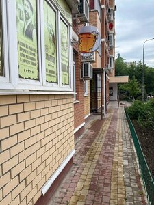 Гослинг Паб (ulitsa Avtolyubiteley No:52/5), bar  Krasnodar'dan