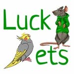 Luckets (ulitsa Stroiteley No:13), evcil hayvan yemi üretimi  Gay'dan