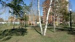 Playground (Omsk, skver Druzhby narodov), oyun alanı  Omsk'tan