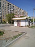 Магазин цветов Студия цветов Татьяна эЛь (ulitsa Patsayeva No:11, mikrorayon Novy gorod), çiçekçiler  Orsk'tan