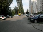 Парковка (Kashtanovaya Alleya Street No:171), otopark alanı  Kaliningrad'dan