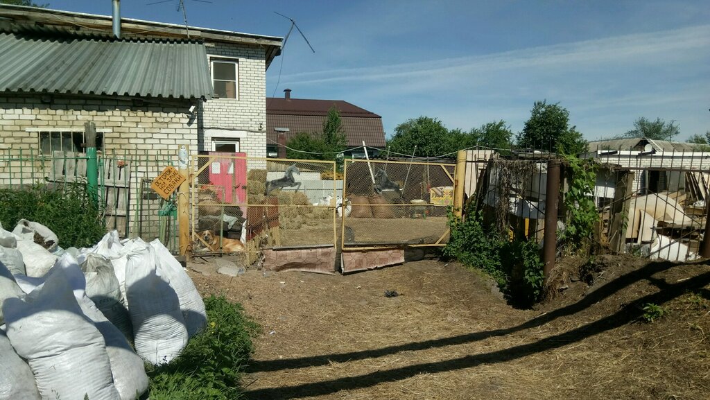 At ve binicilik kulüpleri Казачий конный клуб, Nijni Novgorod, foto