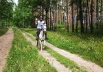 Konny klub Yelen - Konnyye progulki i konnyye probegi (Vesennyaya Street No:1), at ve binicilik kulüpleri  Krasnogorsk'tan