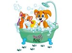 Toelettatura Beauty Dog (Via Antonio Stoppani No:2, Lecco, Valmadrera), petshop  Lombardiya'dan