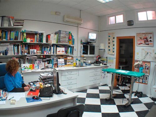 Veteriner klinikleri Clínica Veterinaria Laguna, Endülüs, foto