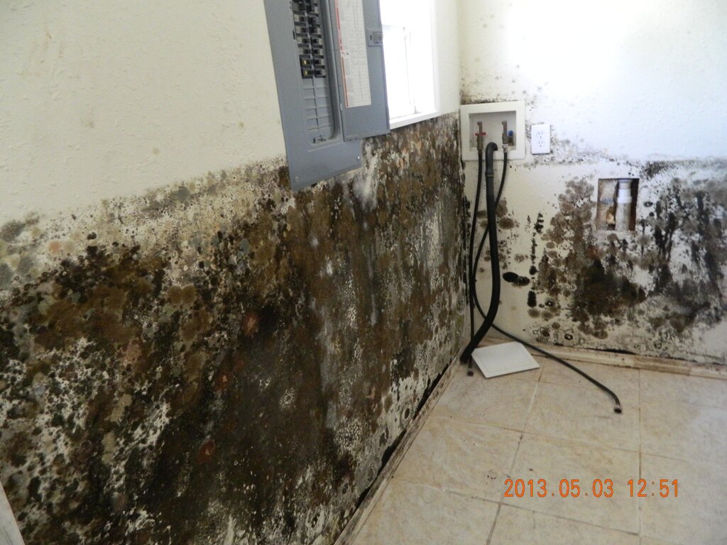 i̇nşaat tedarik firmaları Coastal Disaster Recovery, Inc, Florida Eyaleti, foto