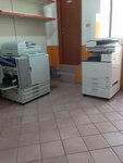 Libreria dello Studente - Libri di Medicina - Tesi di Laurea - Cartoleria (Calabria, Catanzaro, Via del Commercio), baskı hizmetleri  Calabria'dan