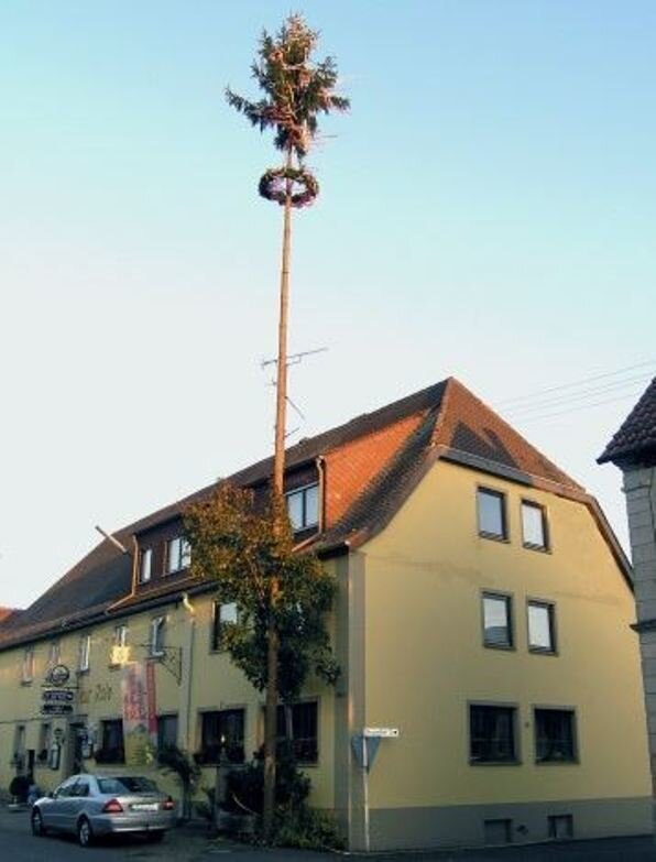 Restoran Landgasthof Zur Rose Inh. Rudi Kleinlein, Bavyera, foto